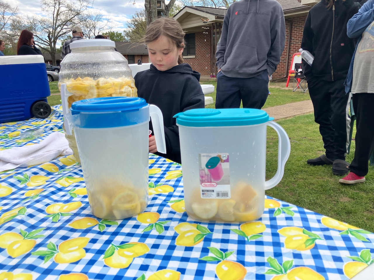 This Alabama 7-year-old started a lemonade stand to pay for her mother ...